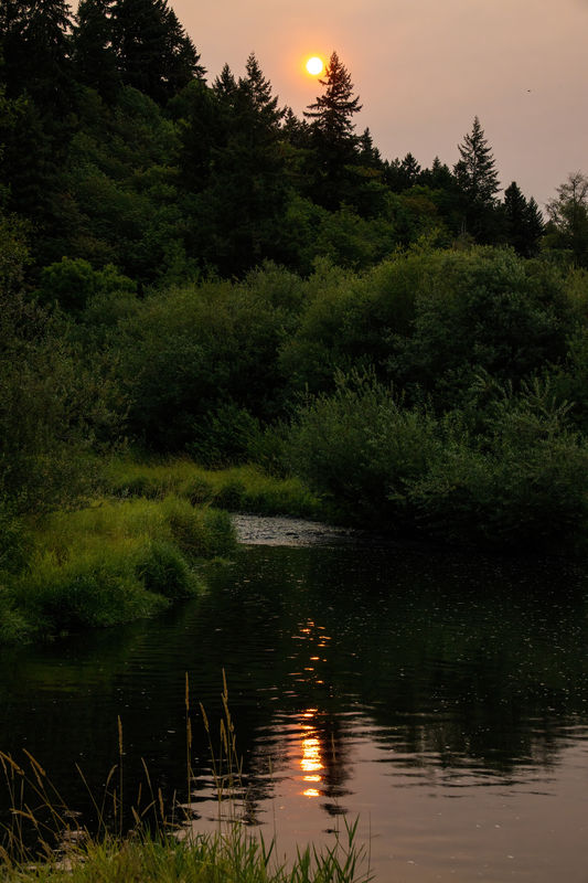 Sky, Stream, Pond on Fire: Forest fire smoke made for an interesting ...