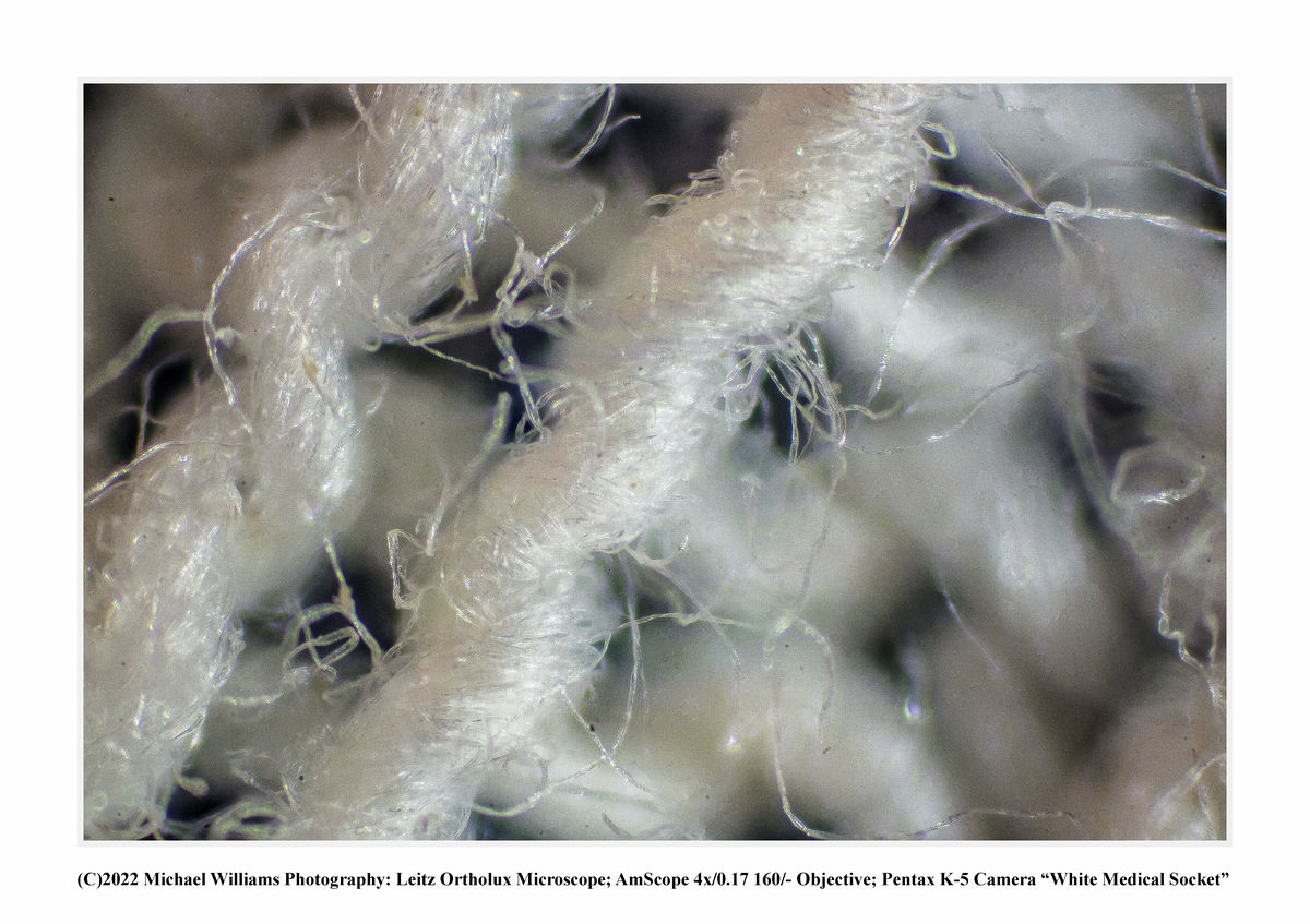 Photo Micrograph White Fabric Taken With My New AmScope Objective Lens ...