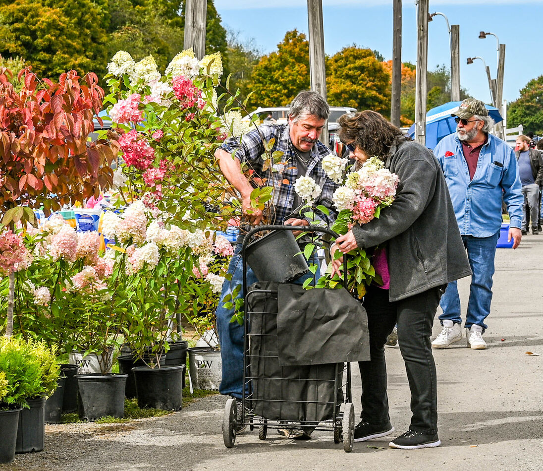 At the flea market: Rogers, Ohio...
