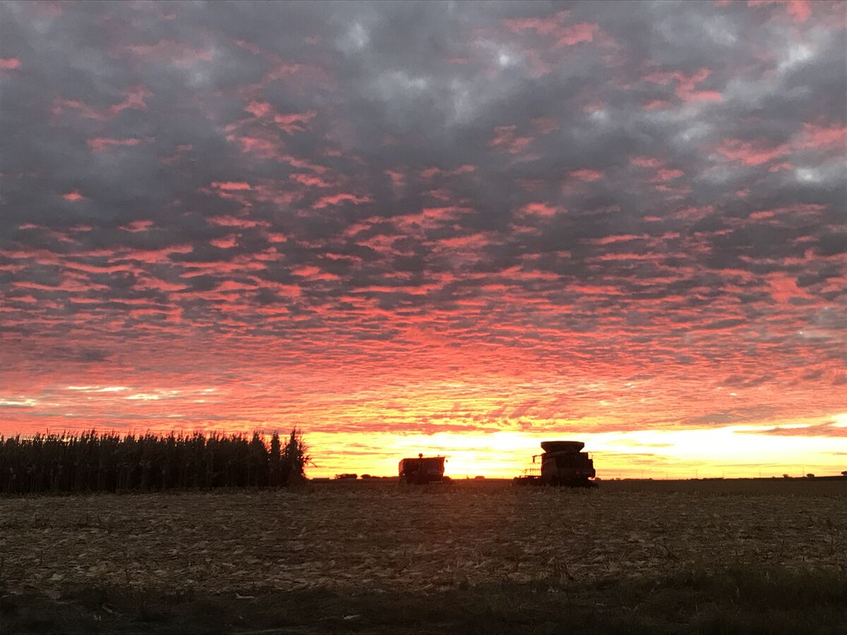 Start of morning, harvest Nebraska: Funk Nebraska. Sunrise and sunsets ...