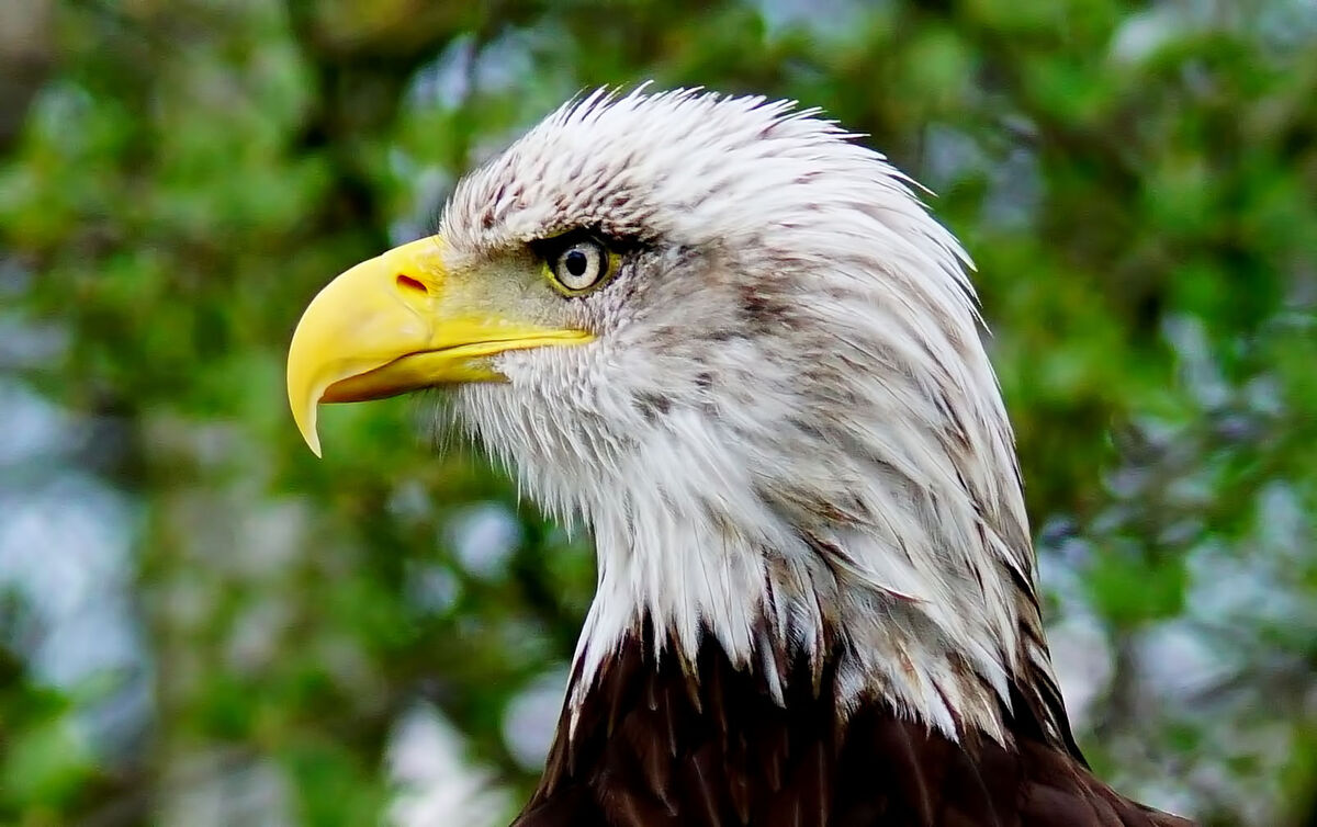 I’m sure some of you folks will recognise this handsome fellow ...