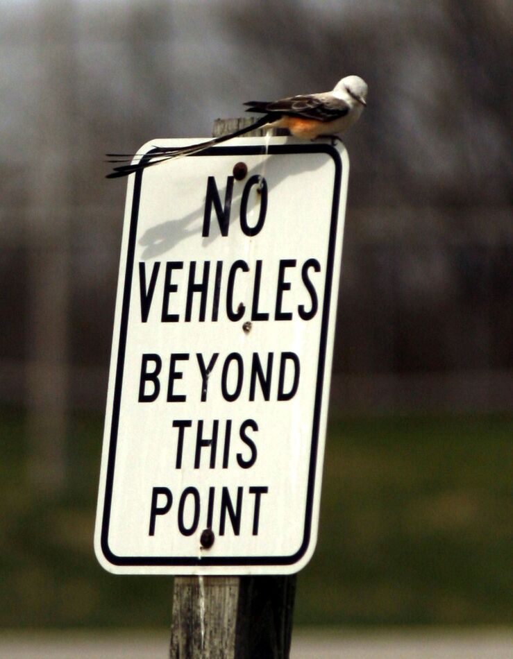 Published Photo: I worked for a college newspaper when the campus ...