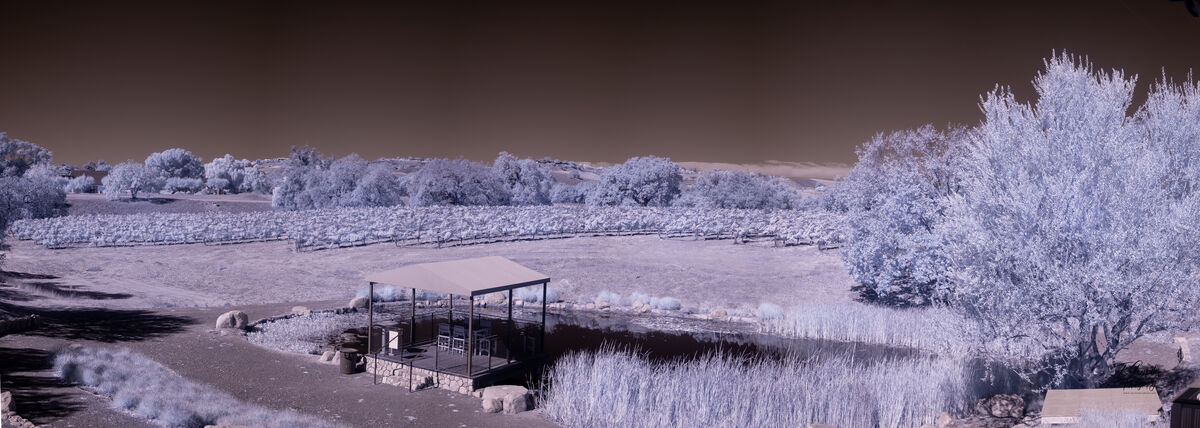 InfraRed Beckman Winery Santa Ynez, California: 9-frame panorama on ...