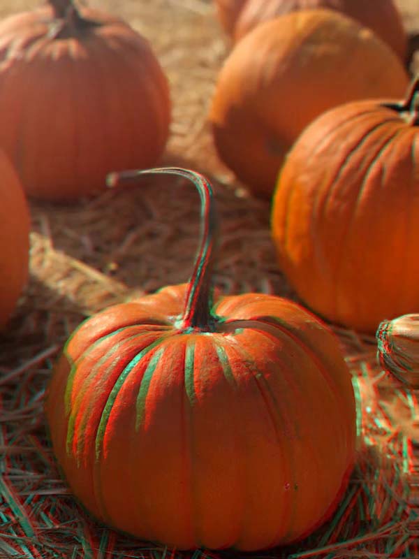 3D - Pumpkins: You will need a pair of anaglyph glasses to view it in ...