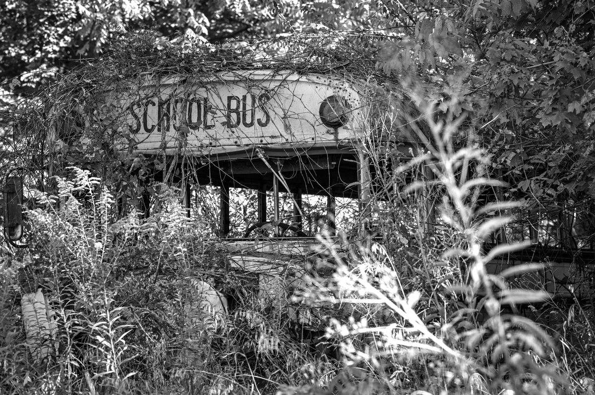 Abandoned school bus: While doing my granddaughter's senior pictures we ...