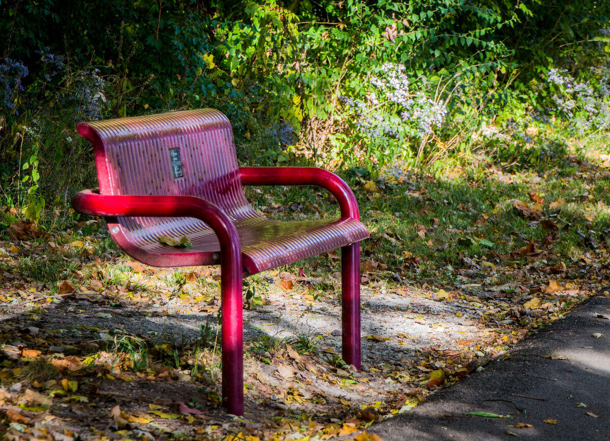 I Need One of These Every Now and Then: A nice resting bench along a ...