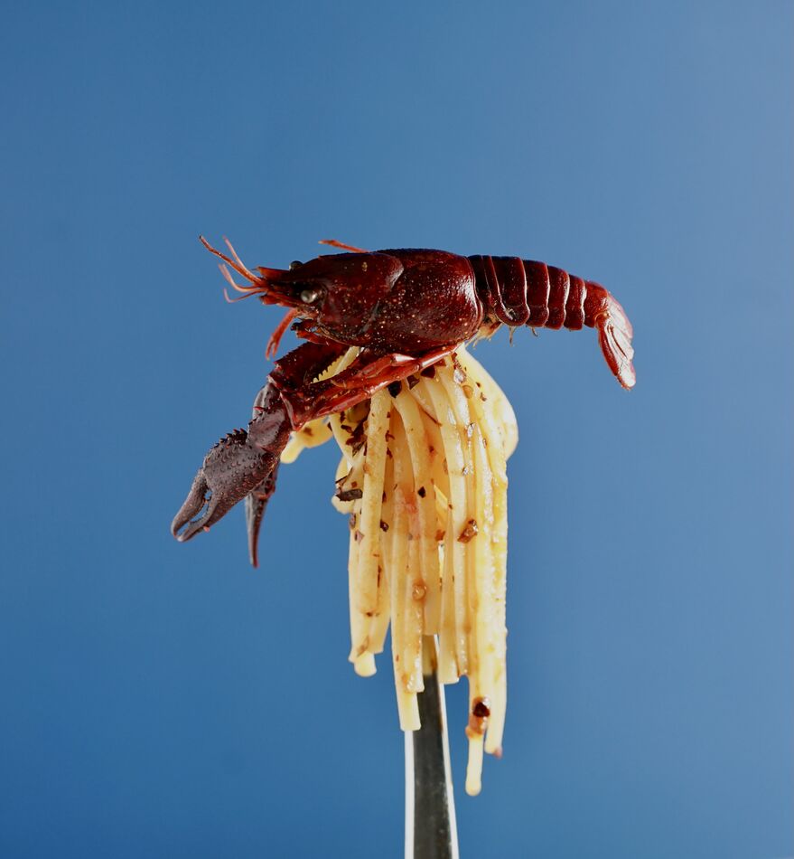 Another CrawFish - Linguine and a Fork! Enjoy, Chefs are crazy and ...