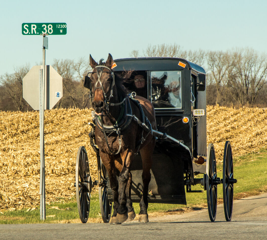 At the Stop Sign: This young Amish man with his horse and buggy and I ...