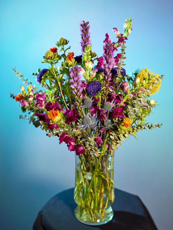 Pick One: Which one is the smart phone image? :sm07: :sm17:...