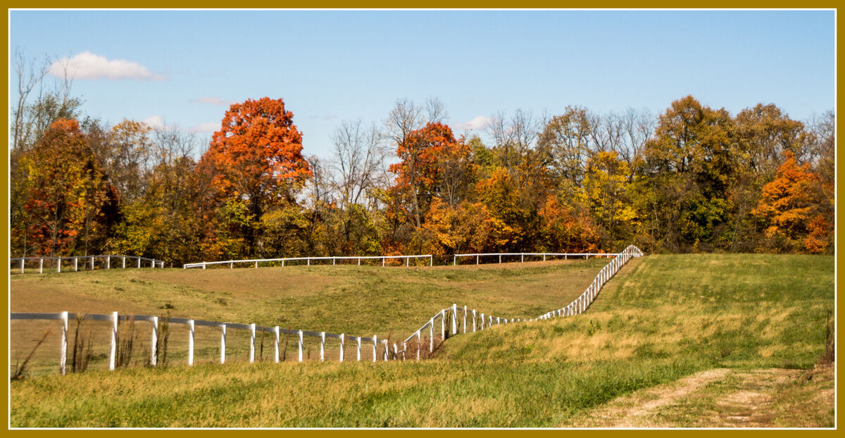 A Nice Fall Scene: Taken in Delaware County, Indiana the other day.