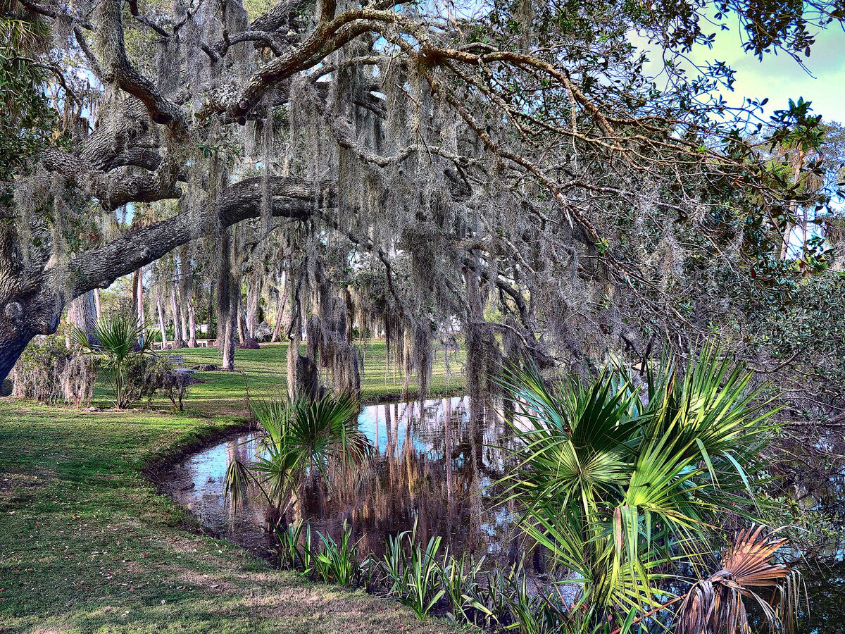 Deep South: Deep South...