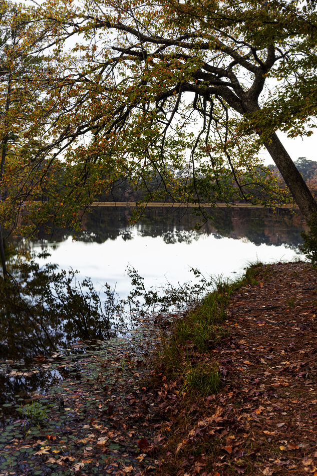 a few from FDR State Park from this weekend: We went on a family ...