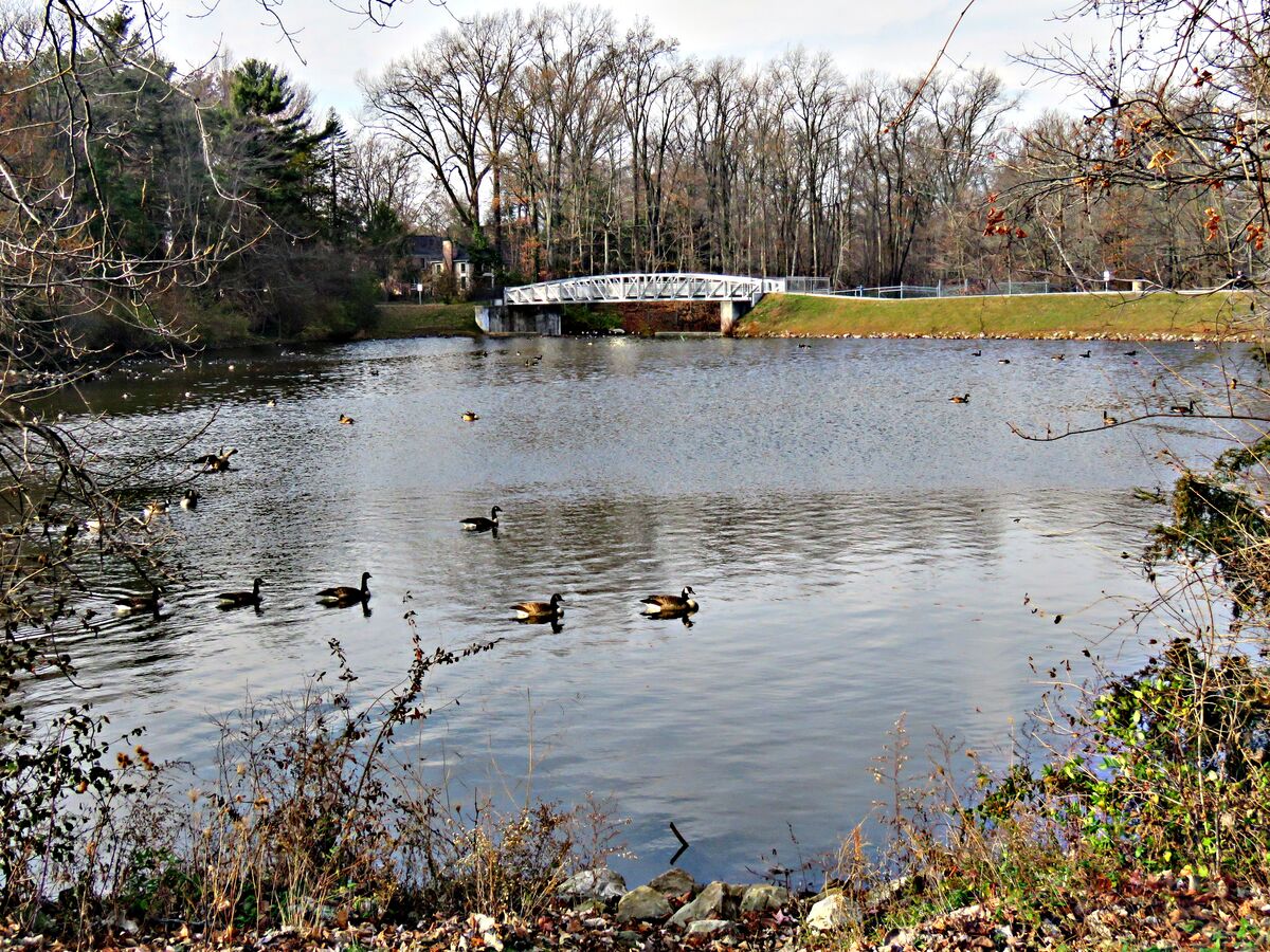 Return to.. Clague Park.