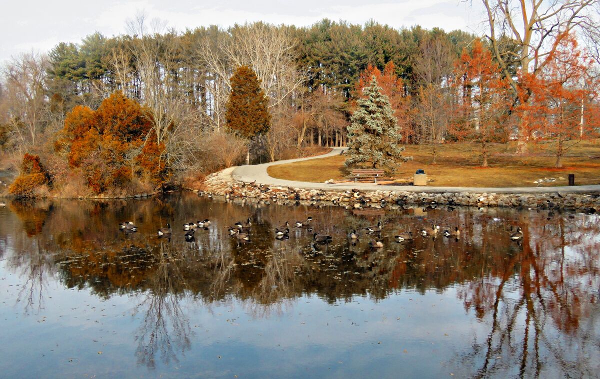 Return to.. Clague Park.