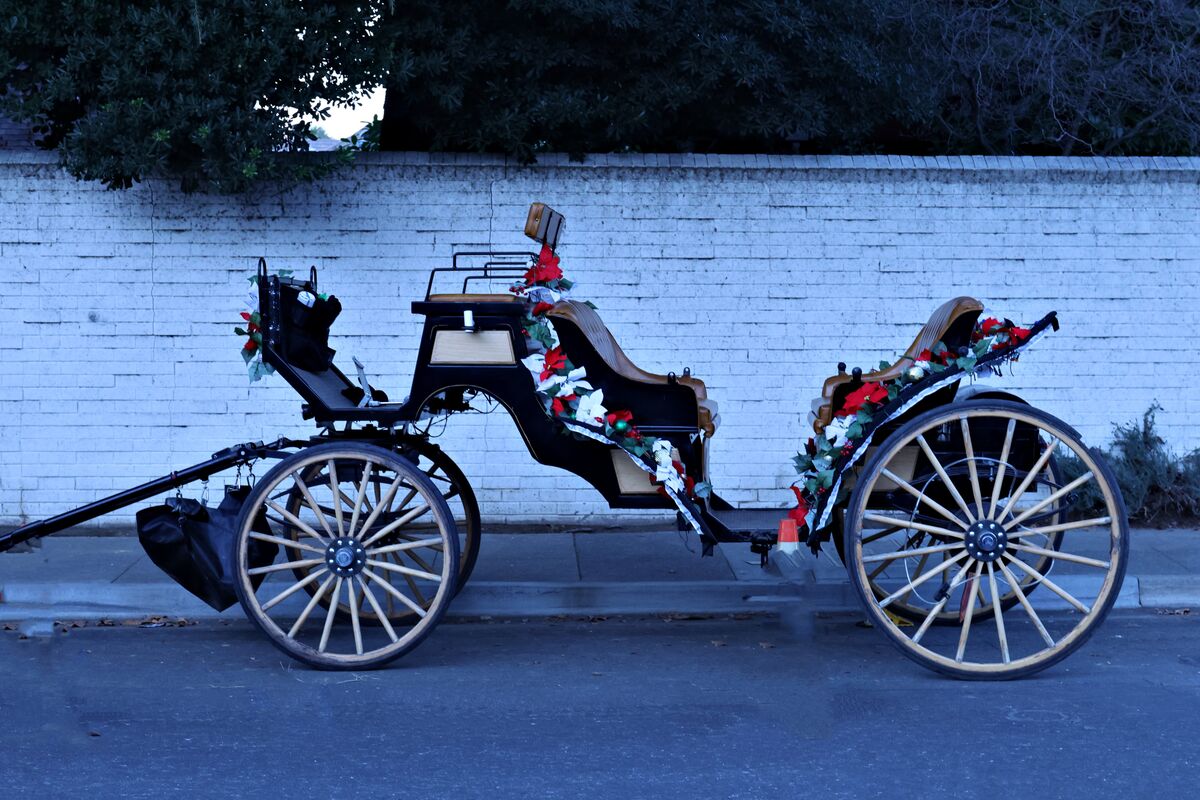 Get ready for a Carriage Ride: The O'Hara Family Farm provides carriage ...
