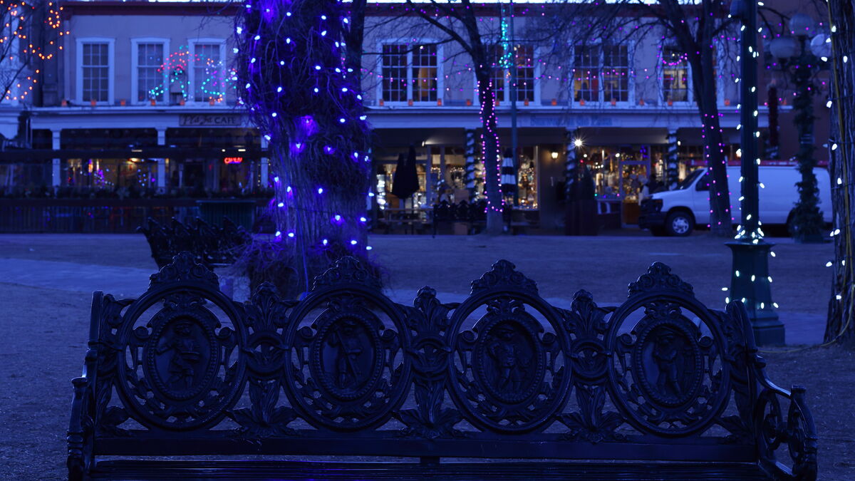 It's a Bench SFNM: It's a Bench SFNM...