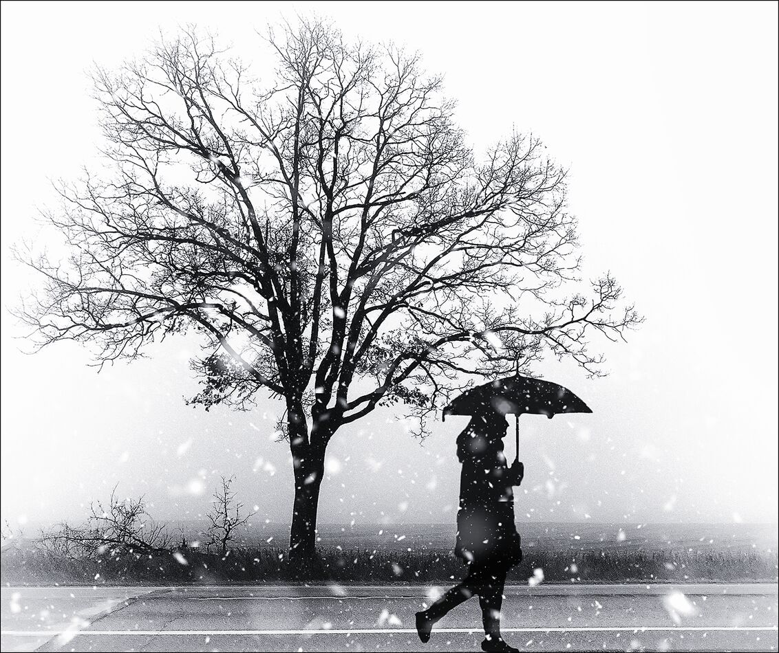 A Winter Walk: My original image was taken a few years ago on a ...