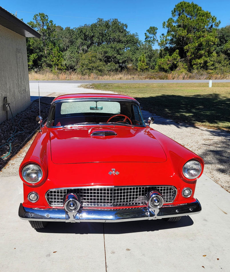 Red Bird: Ha! Probably not what you expected to see, but these Birds ...