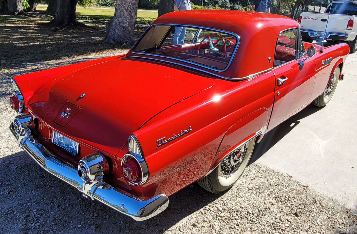 Red Bird: Ha! Probably not what you expected to see, but these Birds ...