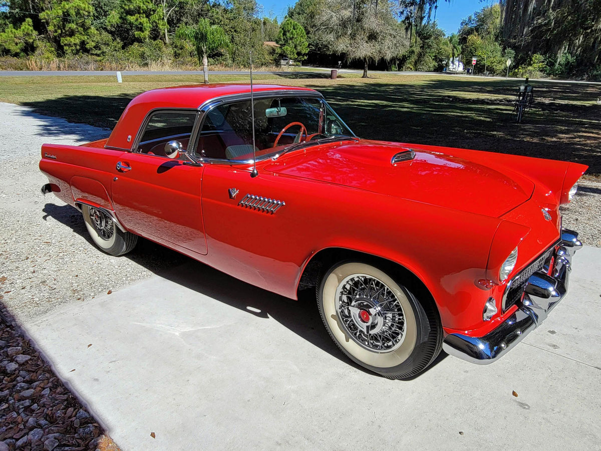 Red Bird: Ha! Probably not what you expected to see, but these Birds ...