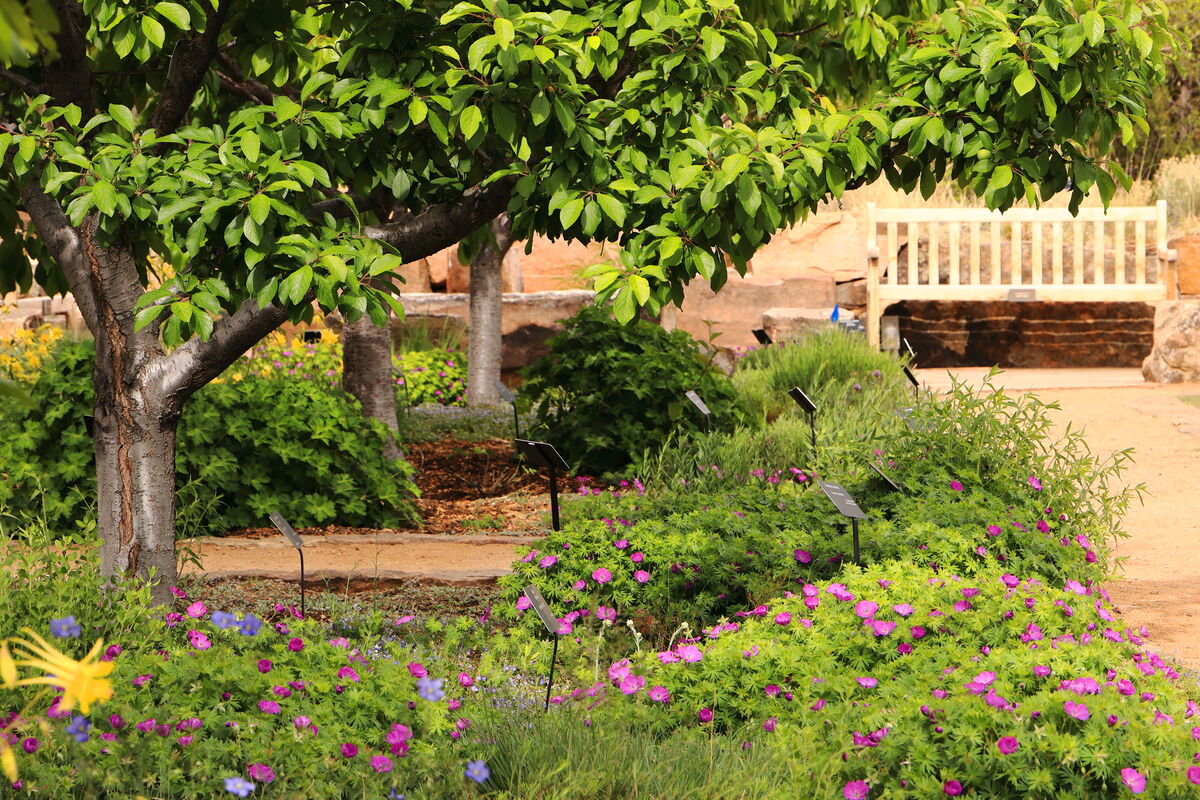 Santa Fe Botanical Garden New Mexico Spring: Santa Fe Botanical Garden ...