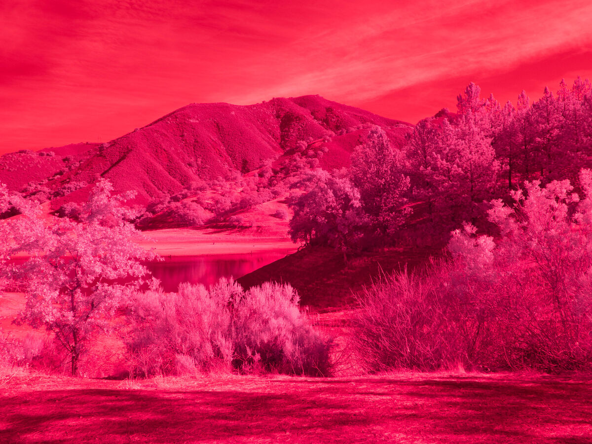 IR image with 590nm filter - Progression from original RAW to B&W ...