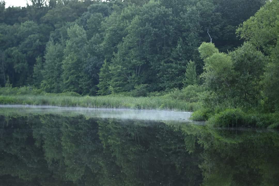 4th weekend in the parks: Firestone and Goodyear Metro Parks...