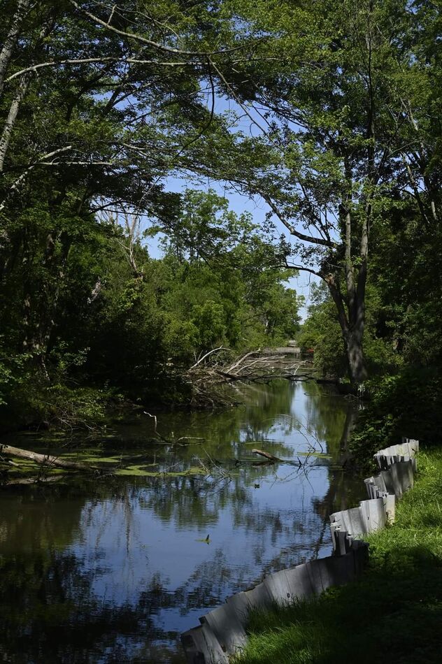 4th weekend in the parks: Firestone and Goodyear Metro Parks...