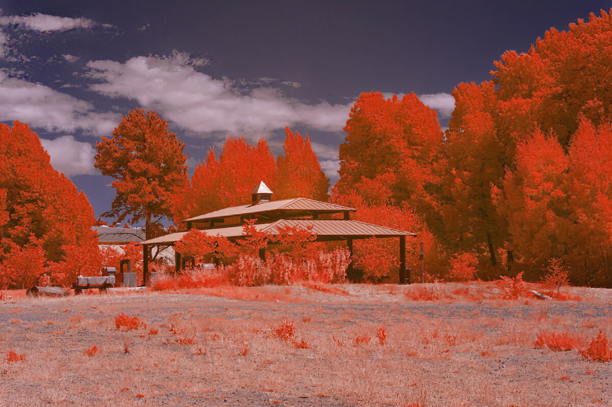 One IR from today: It is amazing what you can do with IR these days ...