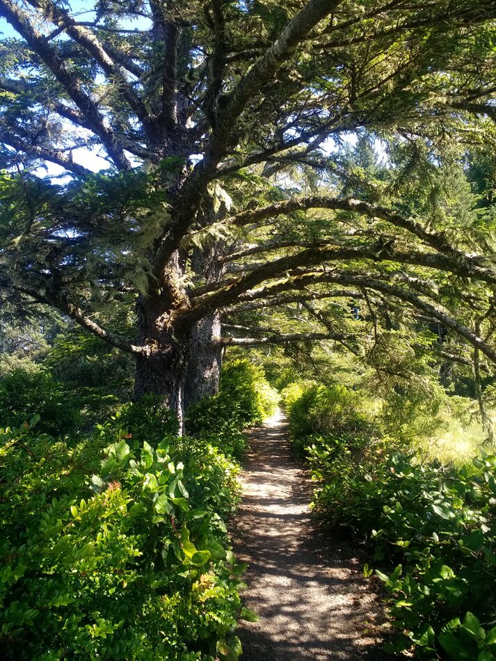 South Slough Reserve ...... :sm02: ~ Took a short hike (4-5 miles ...