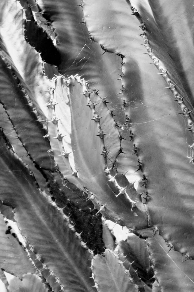 Black And White Number 3 This Is Number 3 Of 3 Black And White Black And White Number 3 This Is Number 3 Of 3 Black And White