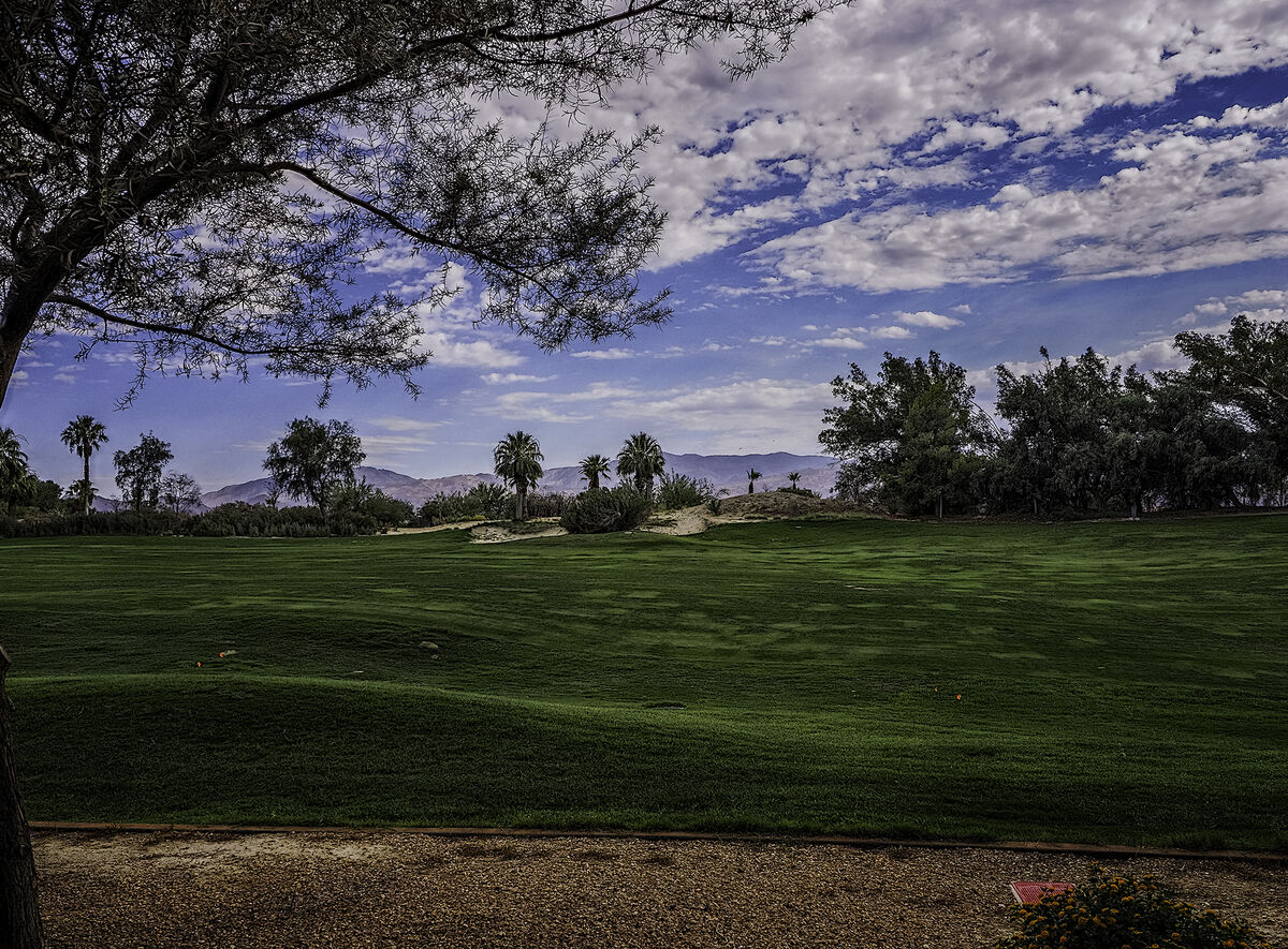 My Image Your View: Palm Desert Golf Course: This is from Marriott's ...