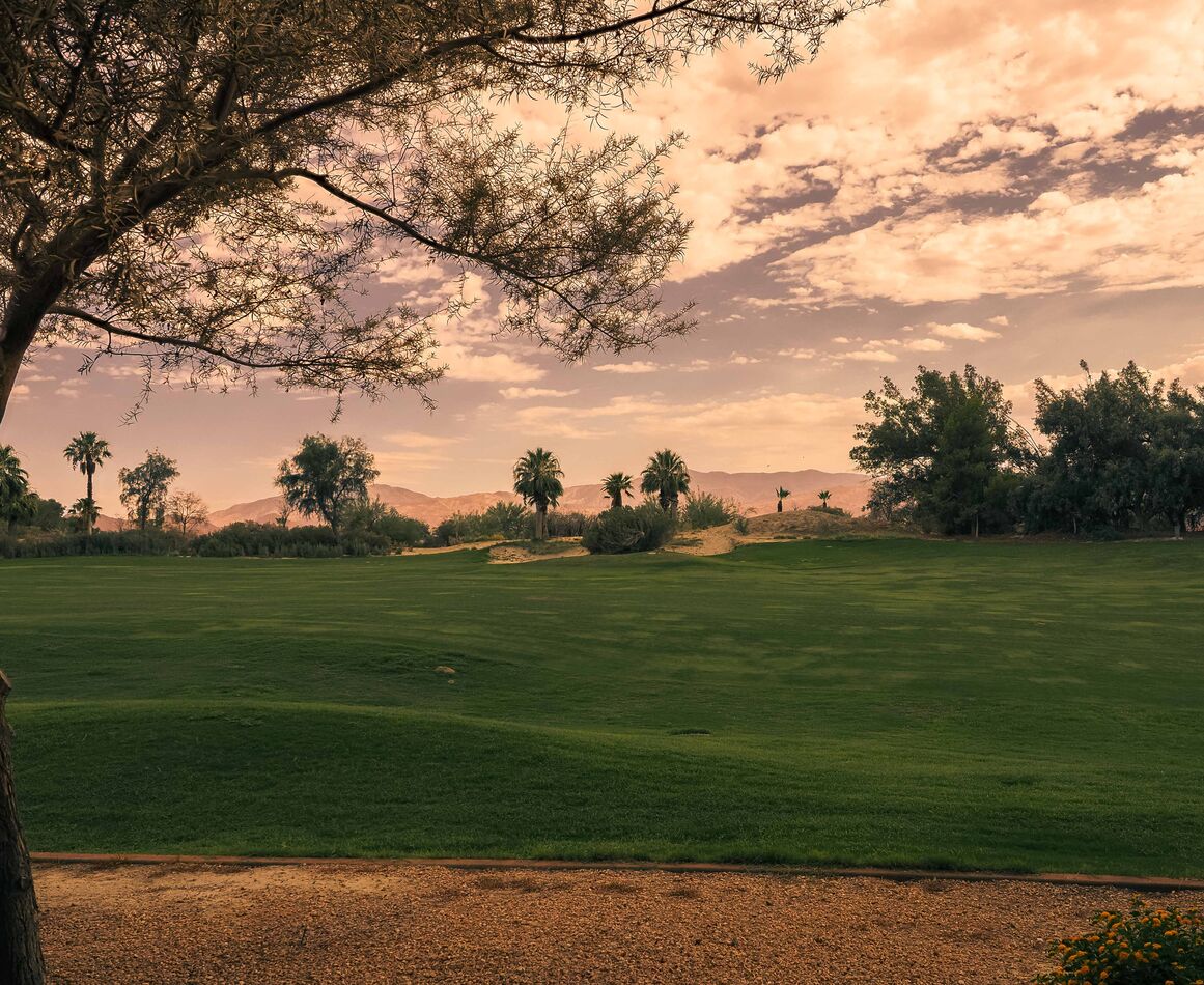 My Image Your View: Palm Desert Golf Course: This is from Marriott's ...