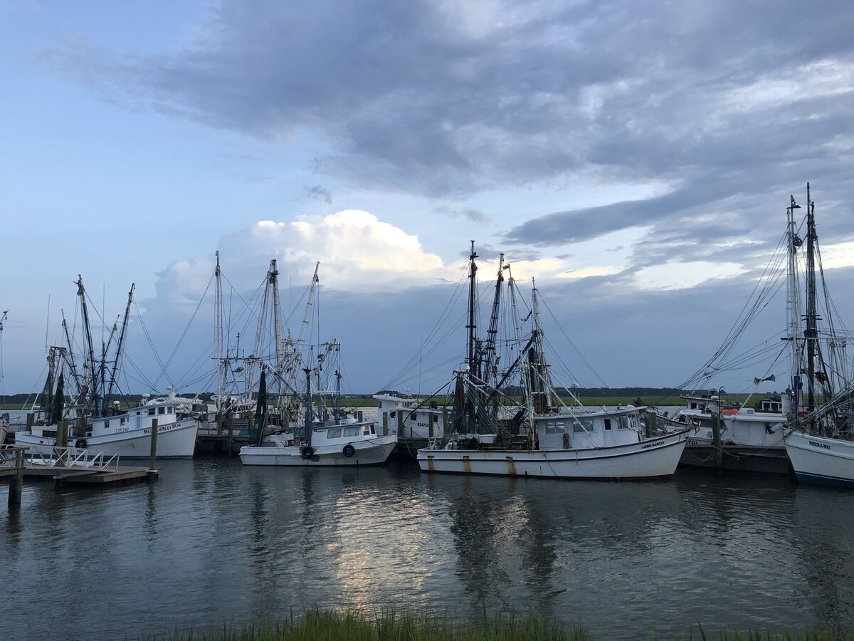 Fleet's In: Shrimp Boats at Dock in SC...