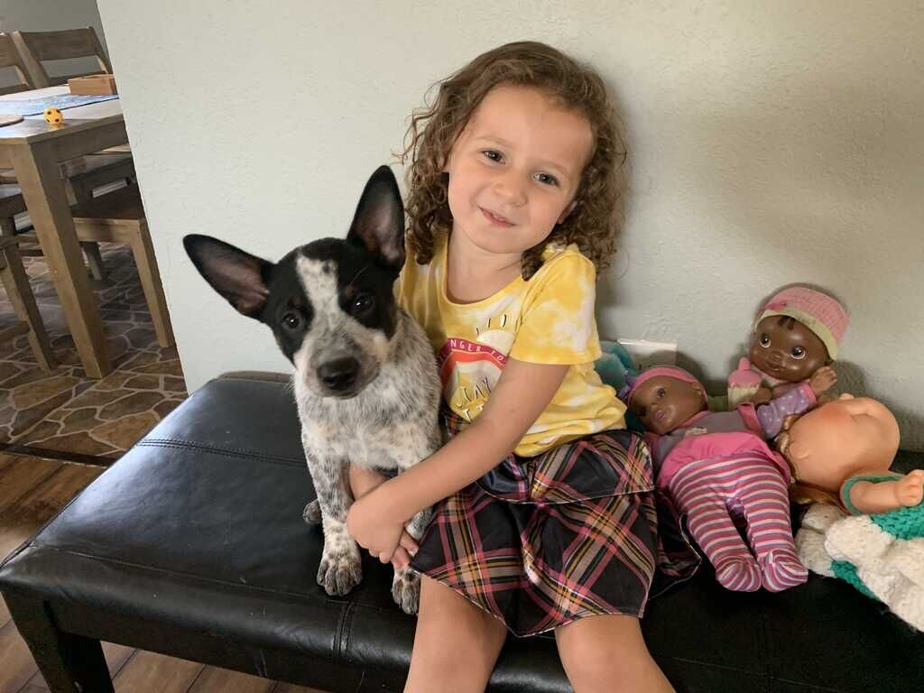 A dose of cuteness to start the week: A young girl with her new puppy.