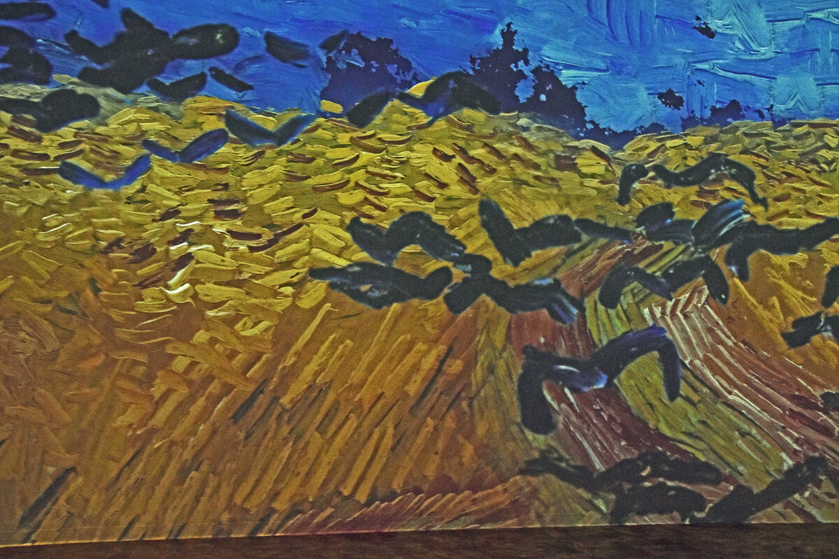 Van Gogh Immersive Experience: For those of you who are serious fans of ...