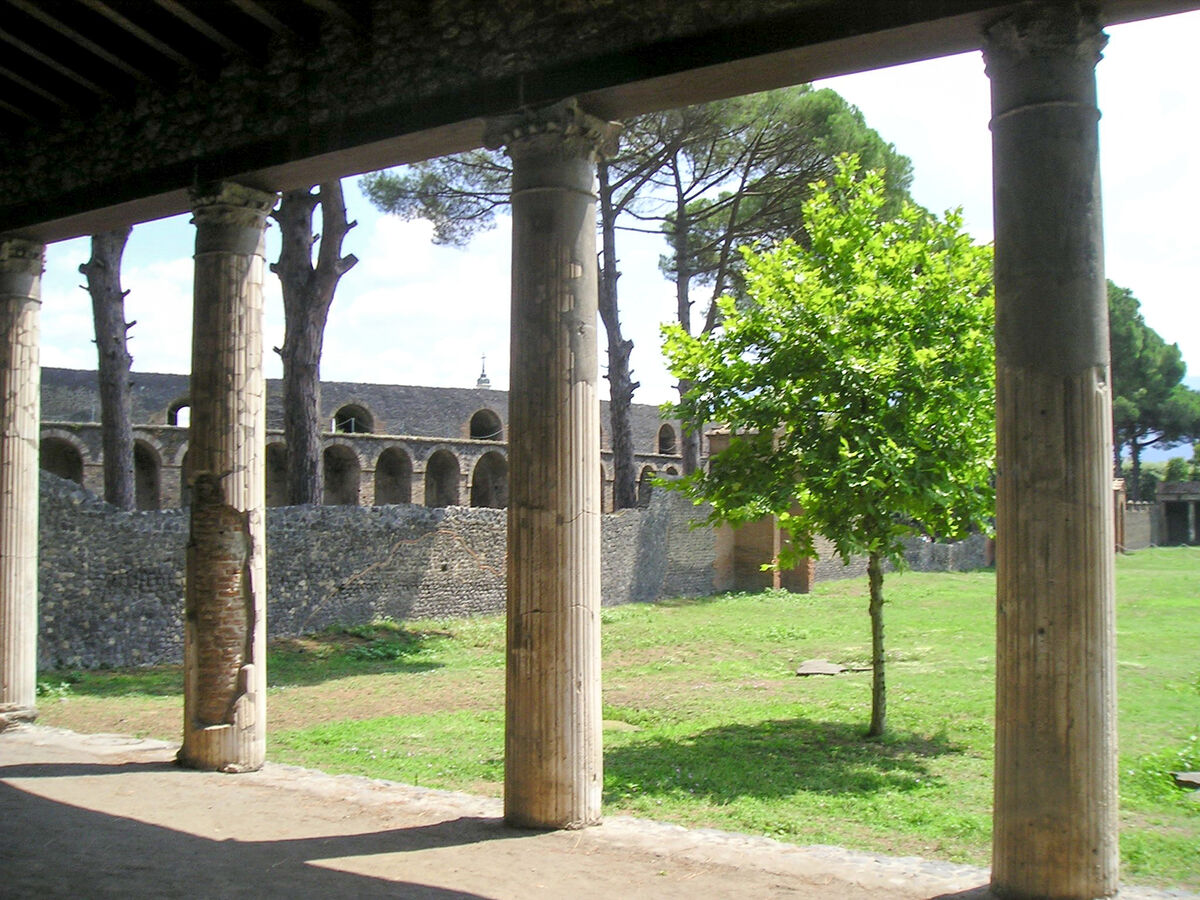 Columns: A study of different types of columns taken over the past few ...