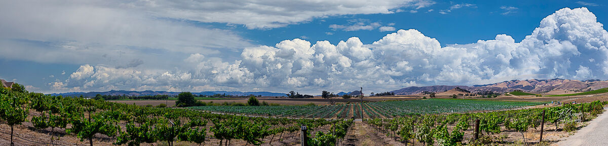 Edna Valley, California Looking North: From the terrace at Wolf Winery ...