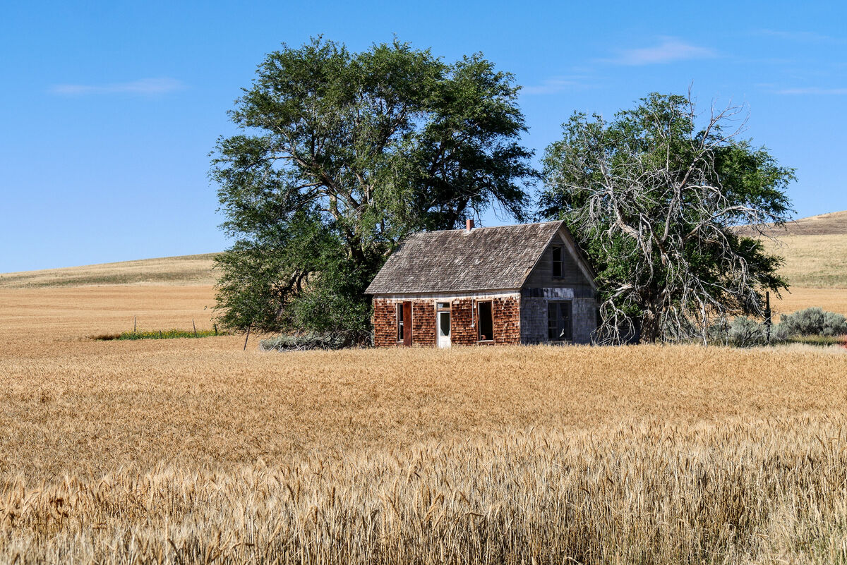 Abandoned Homestead: Dormant in the middle of a wheat field...a silent ...
