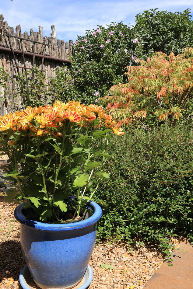 Early Shades of Fall NM.JPG: Early Shades of Fall NM.JPG...