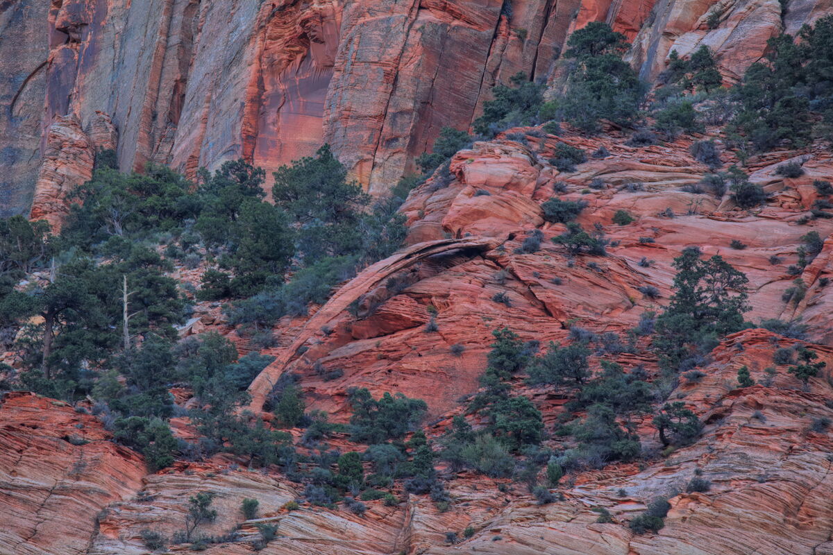 Ribbon Arch: I only heard about this wanna be arch yesterday, so I took ...