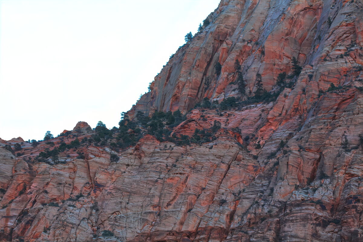 Ribbon Arch: I only heard about this wanna be arch yesterday, so I took ...