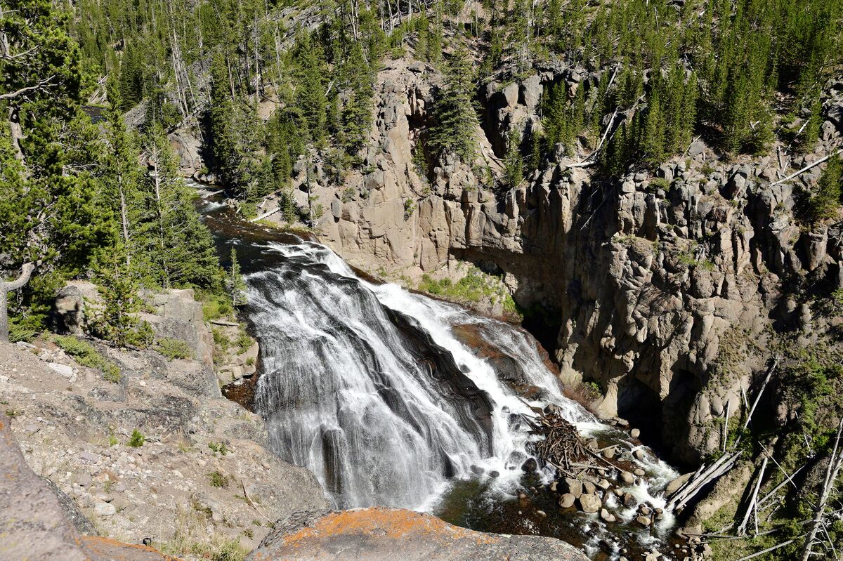 Gibbons Falls: Gibbons Falls is a beautiful waterfall within ...