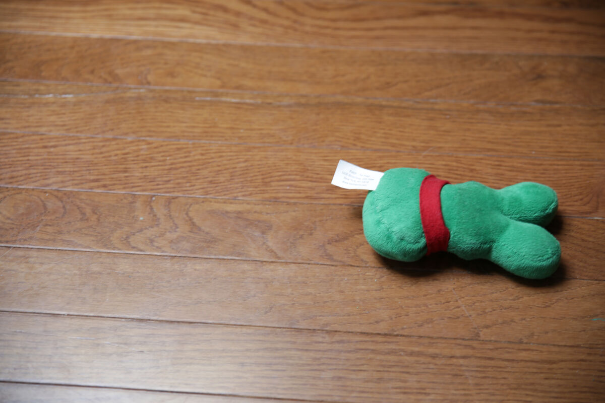 Closeups: Photos of simple objects close up, just screwing around!