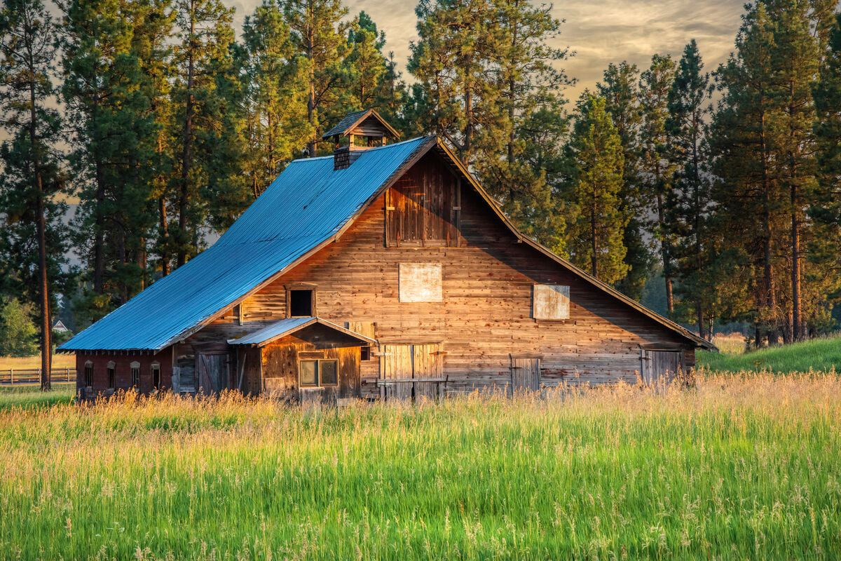Late summer's eve: Late summer and early fall are magical times here in ...