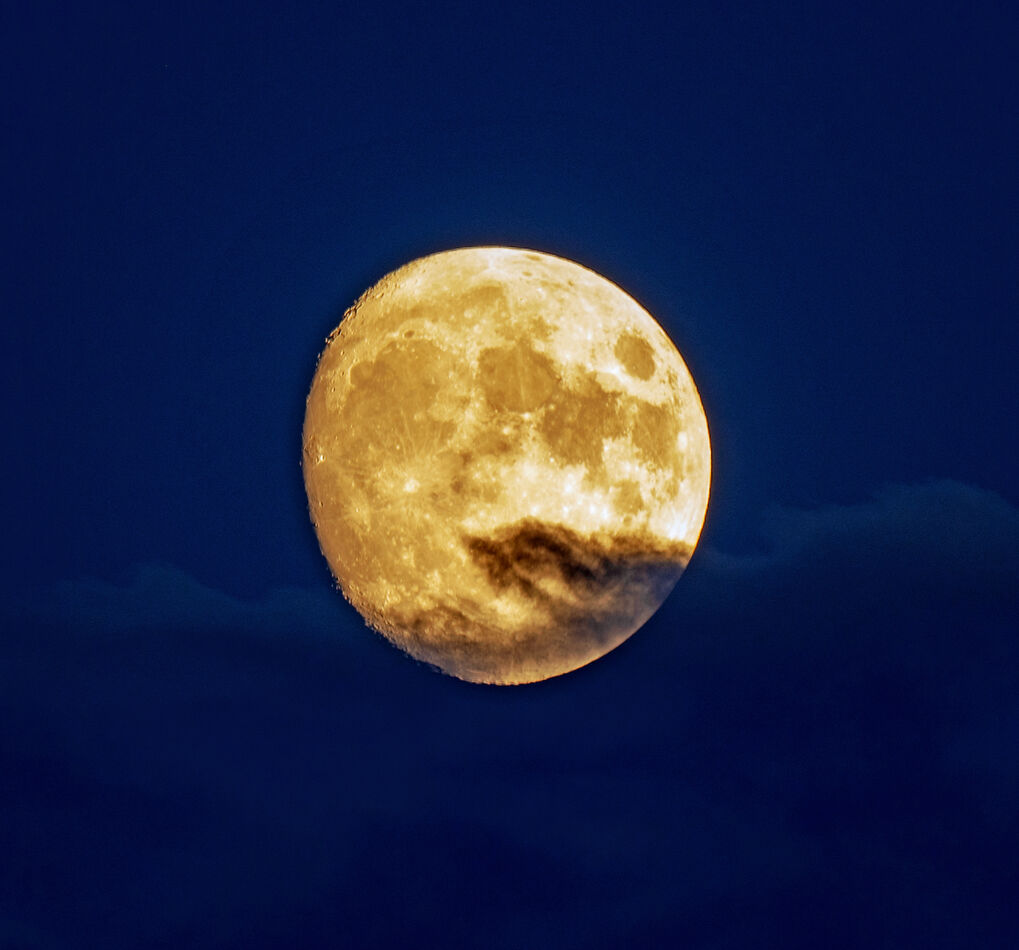 Harvest Hare: Hazy Smoke Moon...