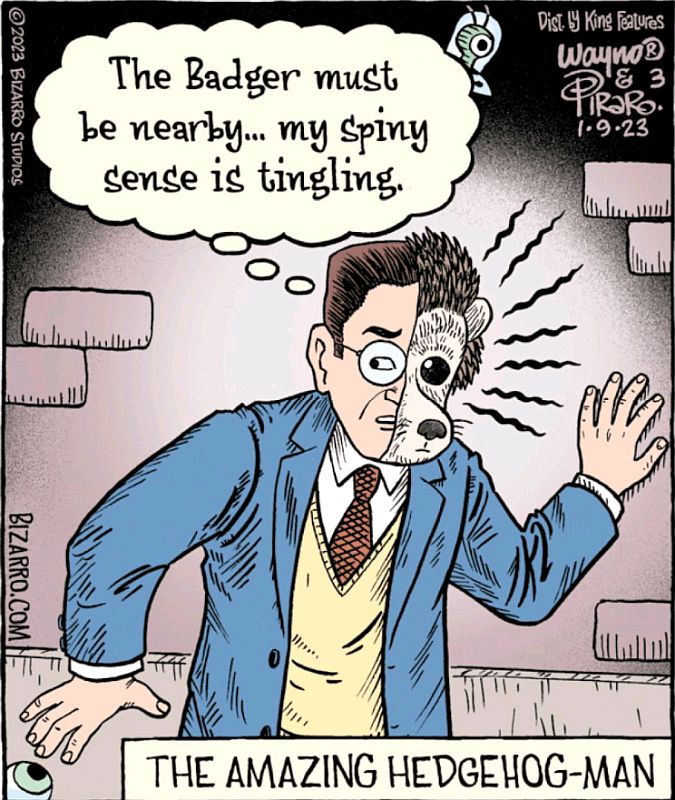 Hedgehog Man - and Alien Snowmen: I think we appreciate this first one ...