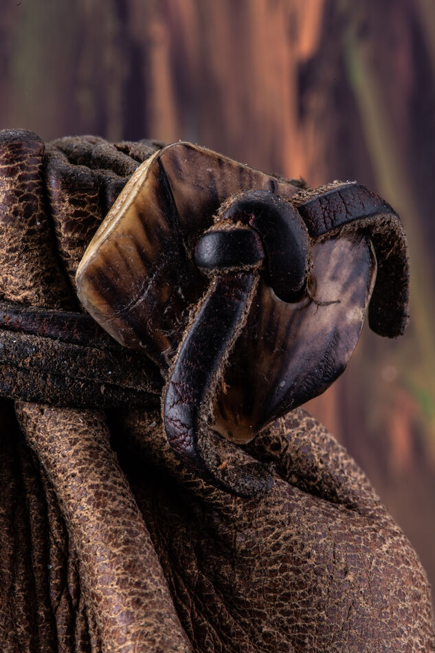 Snapping Turtle Shell in use (For Dan): One of the uses of the shells ...