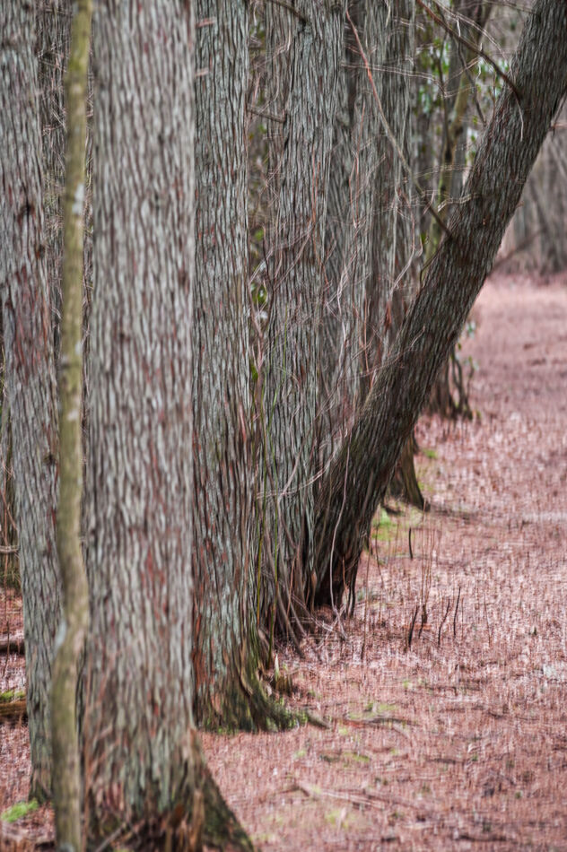 Every Group has one.... I just thought it was interesting how this one ...