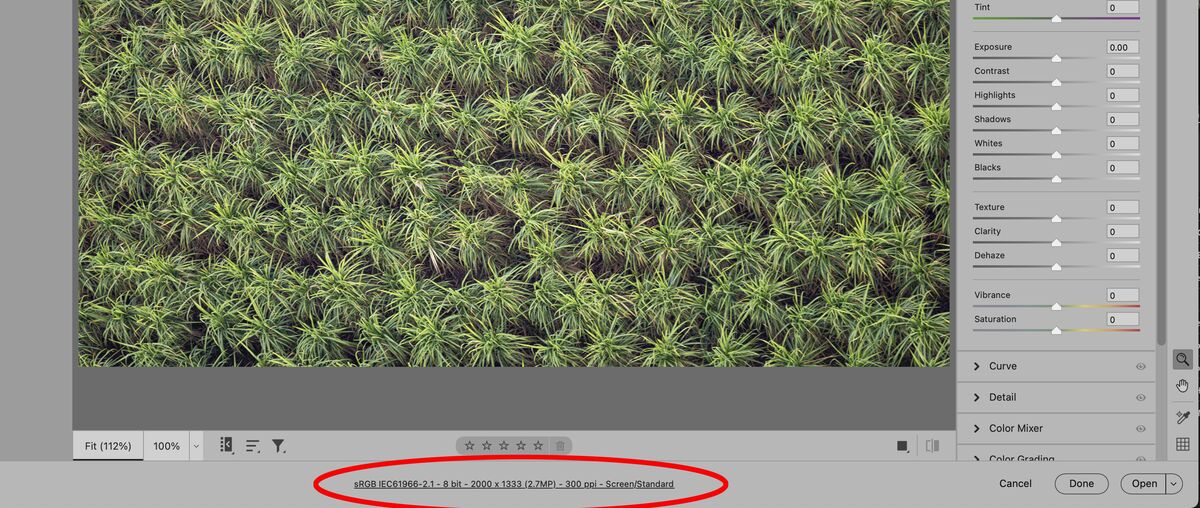 Question Changing from 16 bit to 8 bit in photoshop: When I load any ...